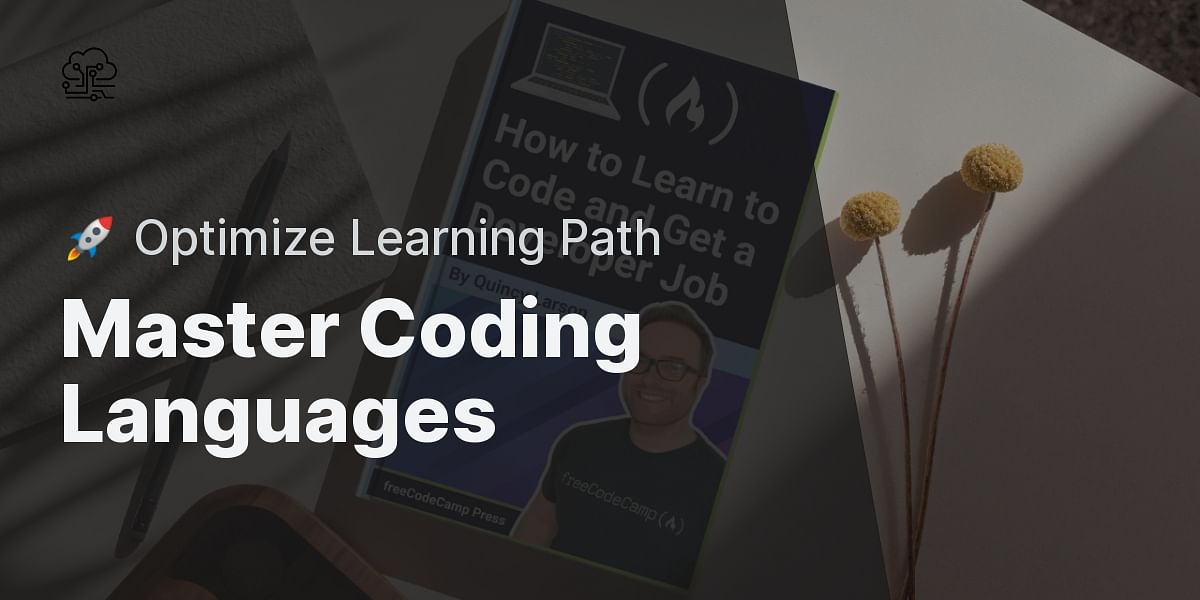 What is the recommended order to learn programming languages?